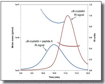 Lens Peptides & Changes in the Oligomeric Organization of αβ-crystallin